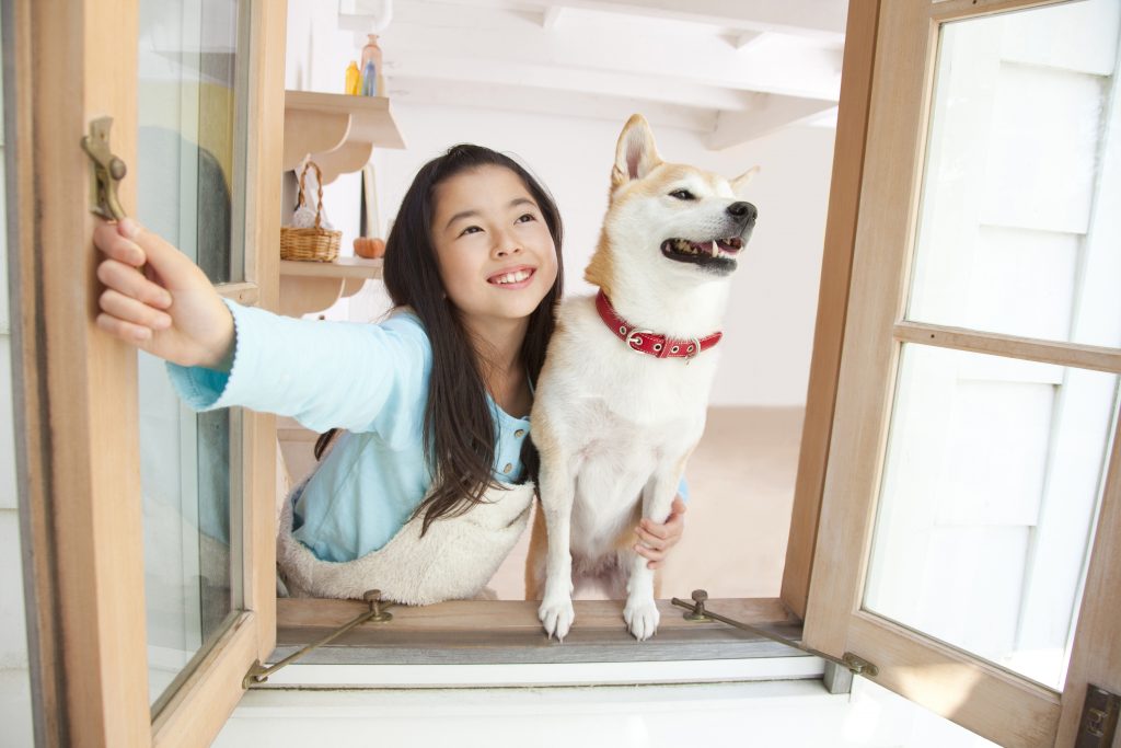 Safety First: Protecting your children around windows - Quaker